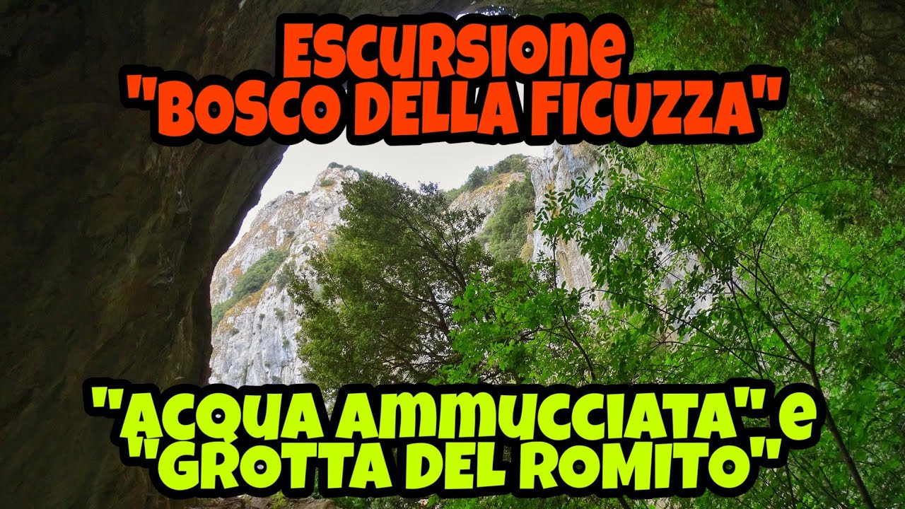 Escursione "BOSCO DELLA FICUZZA"- Alla ricerca dell' "ACQUA AMMUCCIATA ...