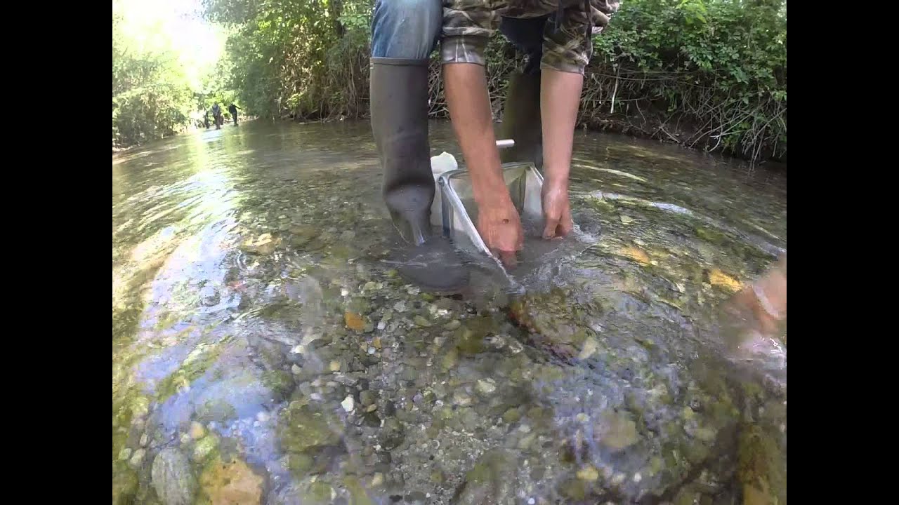 Sortie IBGN IUT Avignon GB AGRO 2014, prélever avec un filet SURBER ...