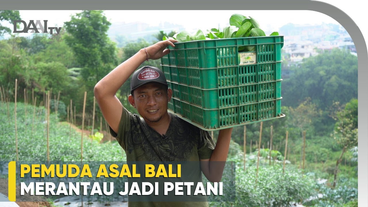 Kisah Anak Rantau dari Bali, Putuskan Jadi Petani - YouTube