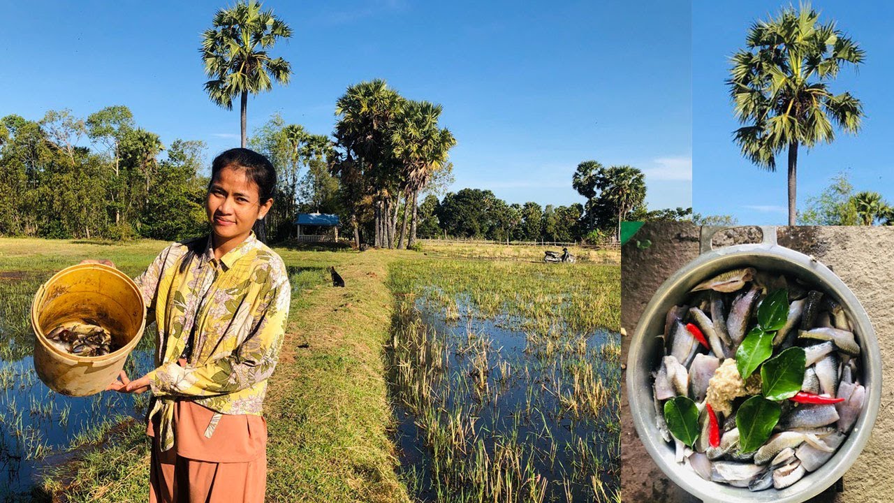 Have You Ever Cooking Streamed Small Fish that is a Khmer Traditional ...