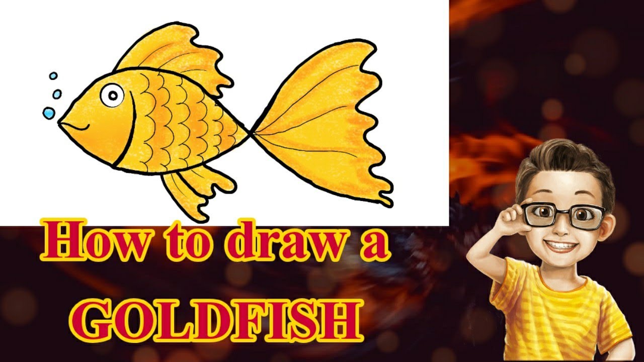 How to draw Goldfish for beginners - YouTube
