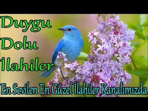 İlahi Dinle 2021 - En Güzel İlahiler,Huzur Veren İlahiler,Seçkin İlahiler,Karışık İlahiler Dinle