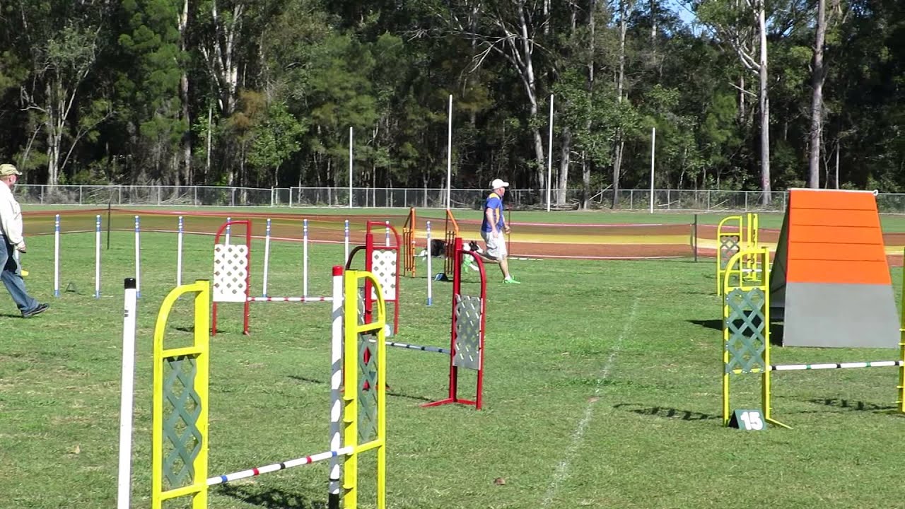 Duke Advanced Agility - YouTube