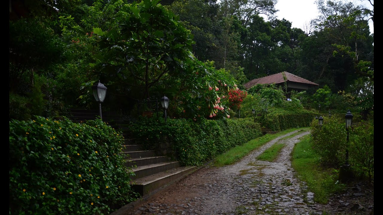Monsoon at Old Kent Estates, Coorg - YouTube