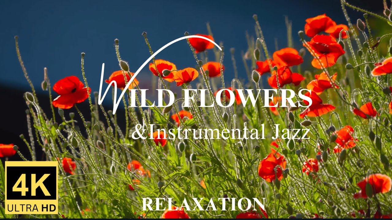 The Art of Relaxation: Wild Flowers & Smooth Jazz - YouTube