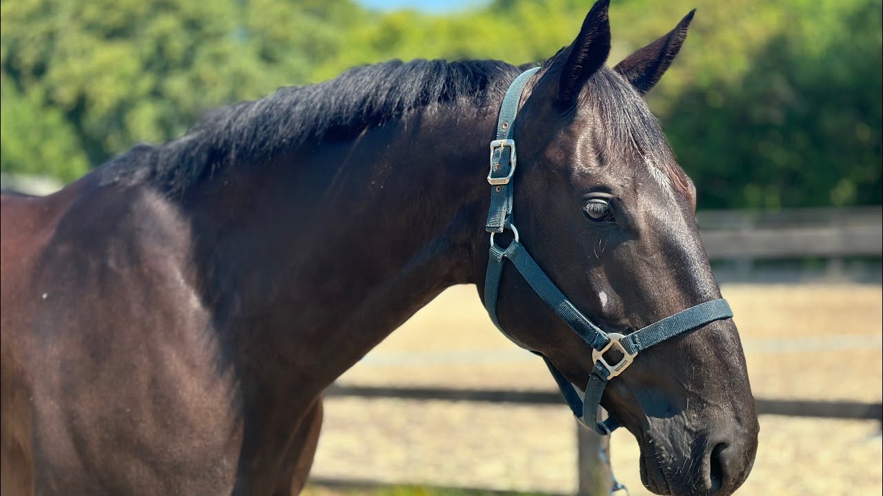 George at home - YouTube