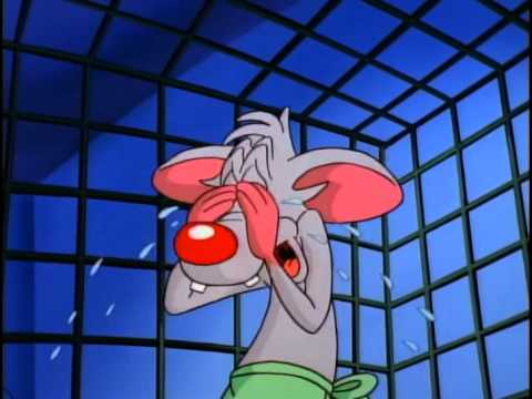 Pinky And The Brain - \