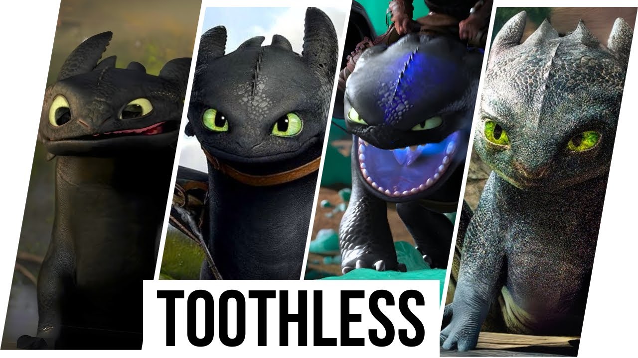 Toothless Evolution in Movies & TV Shows (2010-2025) | Hiccup's Pet ...