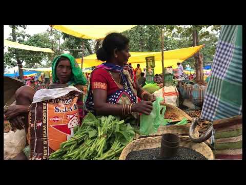 Weird Food Red Ant Chutney लाल चीटी की चटनी विचित्र लेकिन सत्य है