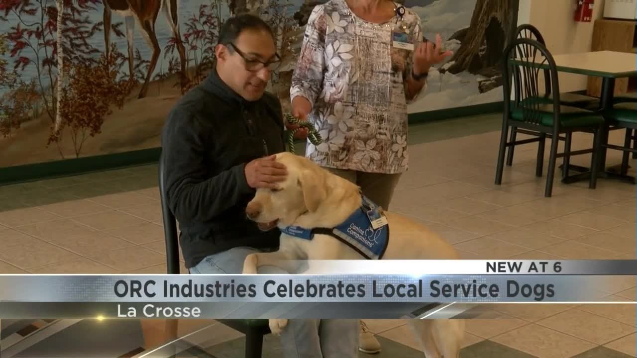 Luna and Luka celebrate National Service Dog Day at ORC Industries ...