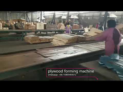 plywood making process/plywood veneer forming/assembling/lay out ...