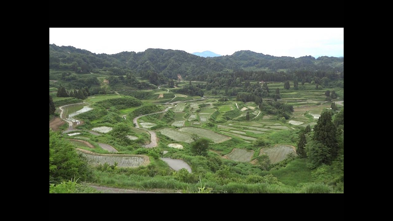 Landscape of Terraced rice field in Niigata,Japan. - YouTube