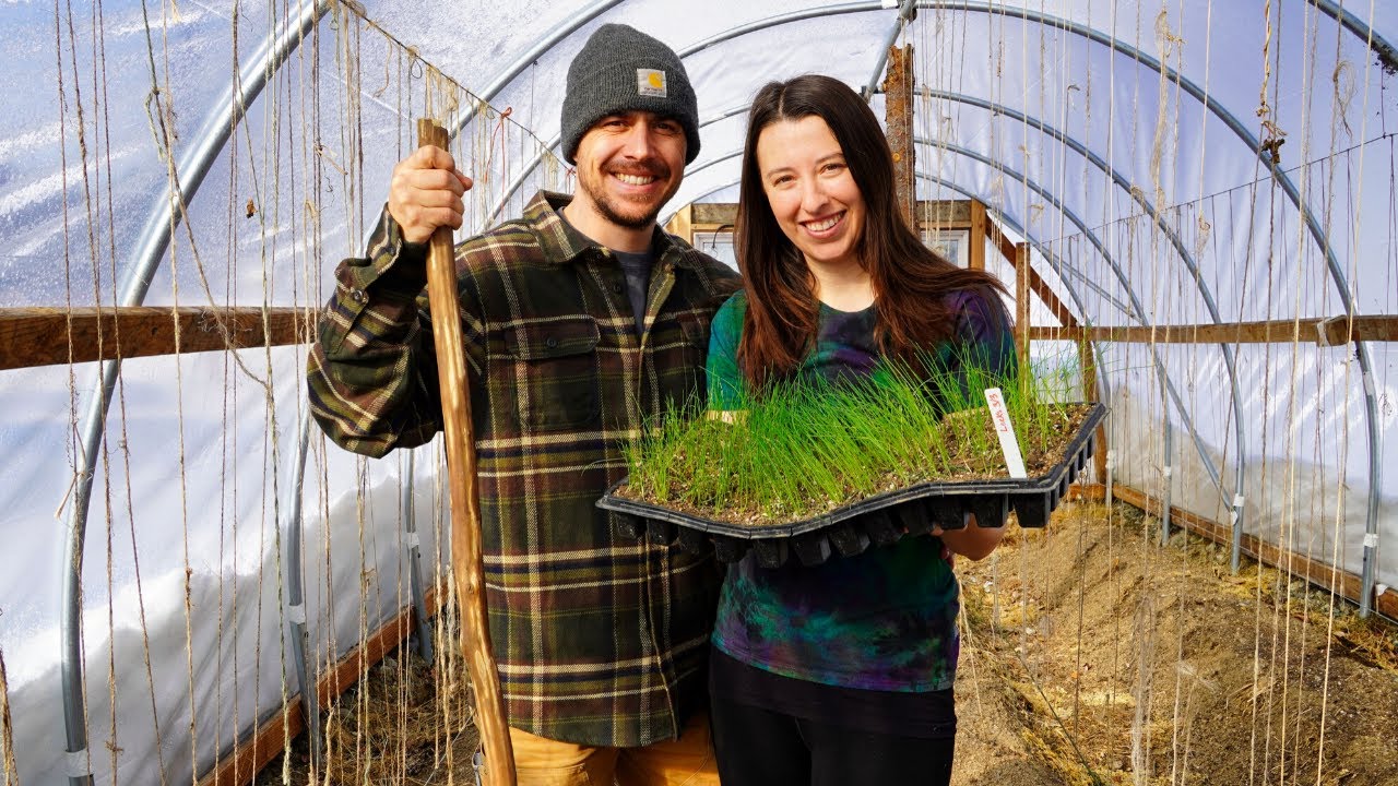 Spring is in the Air | Living Off Grid in Alaska - YouTube