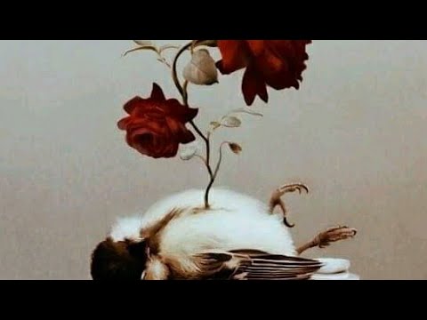 zeng ucun mahnilar, zeng ucun musiqi, zeng ucun melodiyalar,