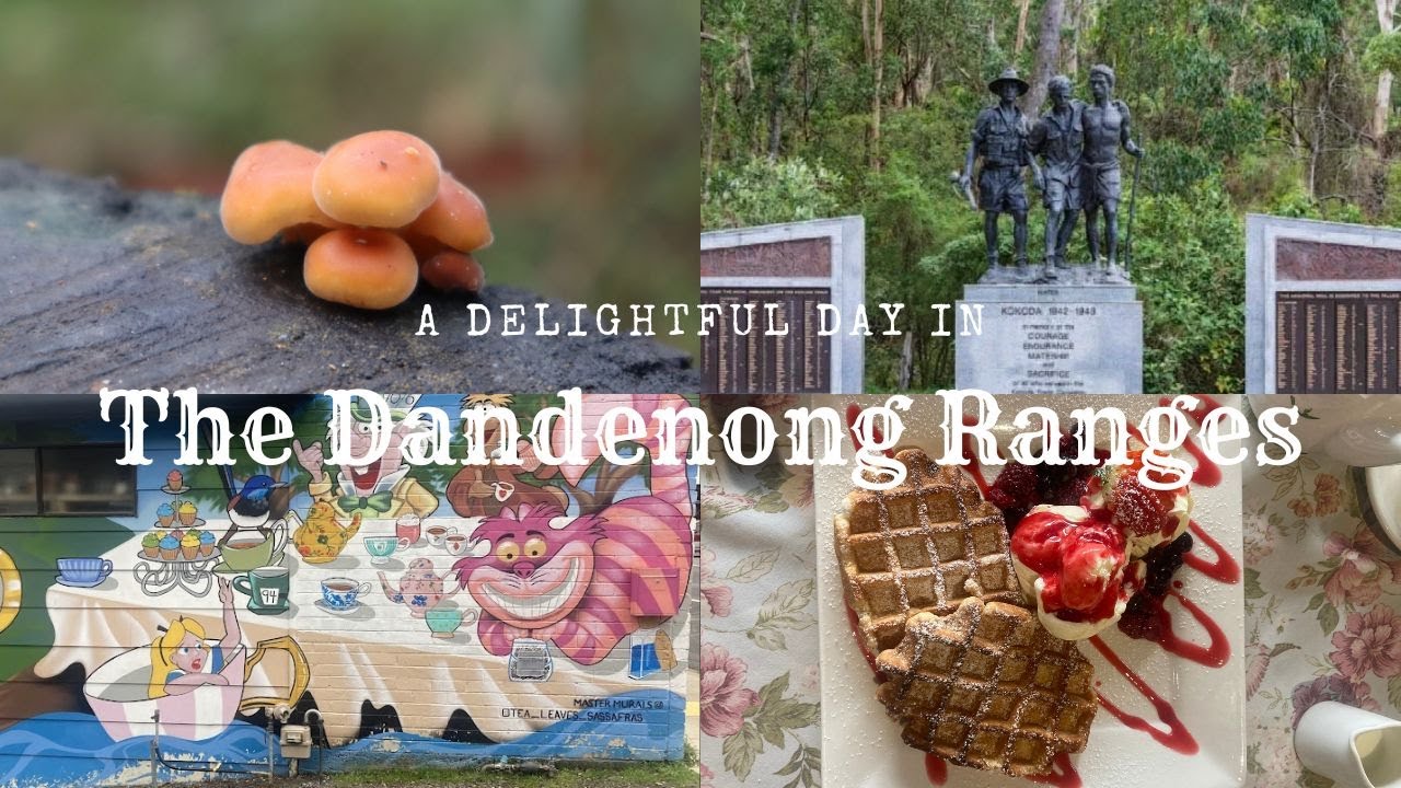 Spending A Day in the Dandenong Ranges | Winter Solstice in Melbourne ...