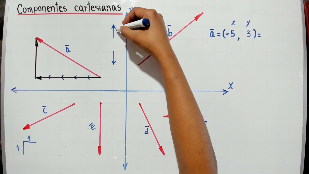 12. ANÁLISIS VECTORIAL - Componentes cartesianas - YouTube