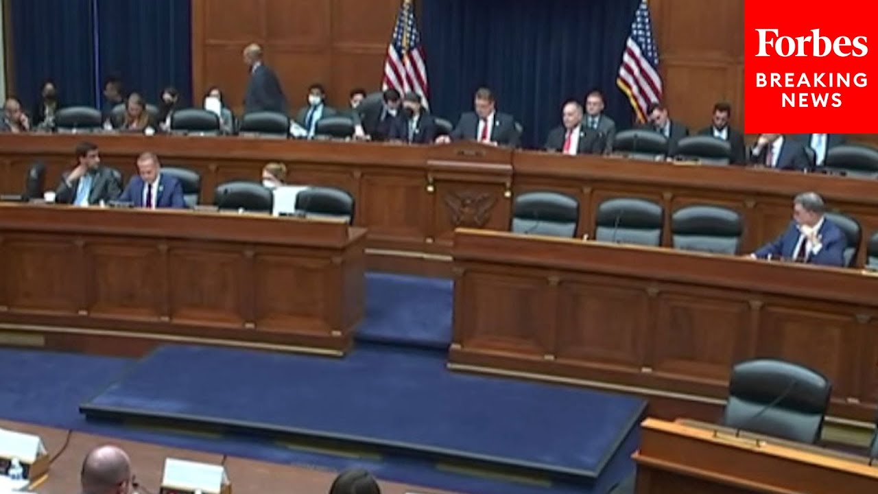 House Oversight Committee Holds A Hearing On Third-Party Litigation ...