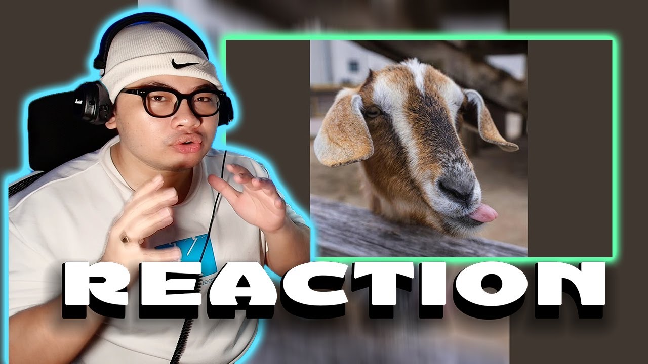 RAPPER LÈ NHÈ - ROBERTO | 2See Reaction - YouTube