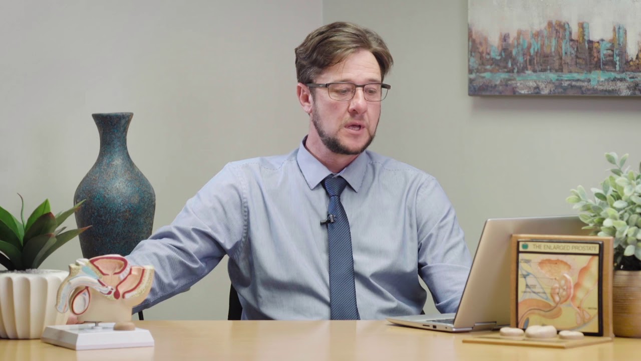 Kidney Stones - Dr Thys Engelbrecht - YouTube