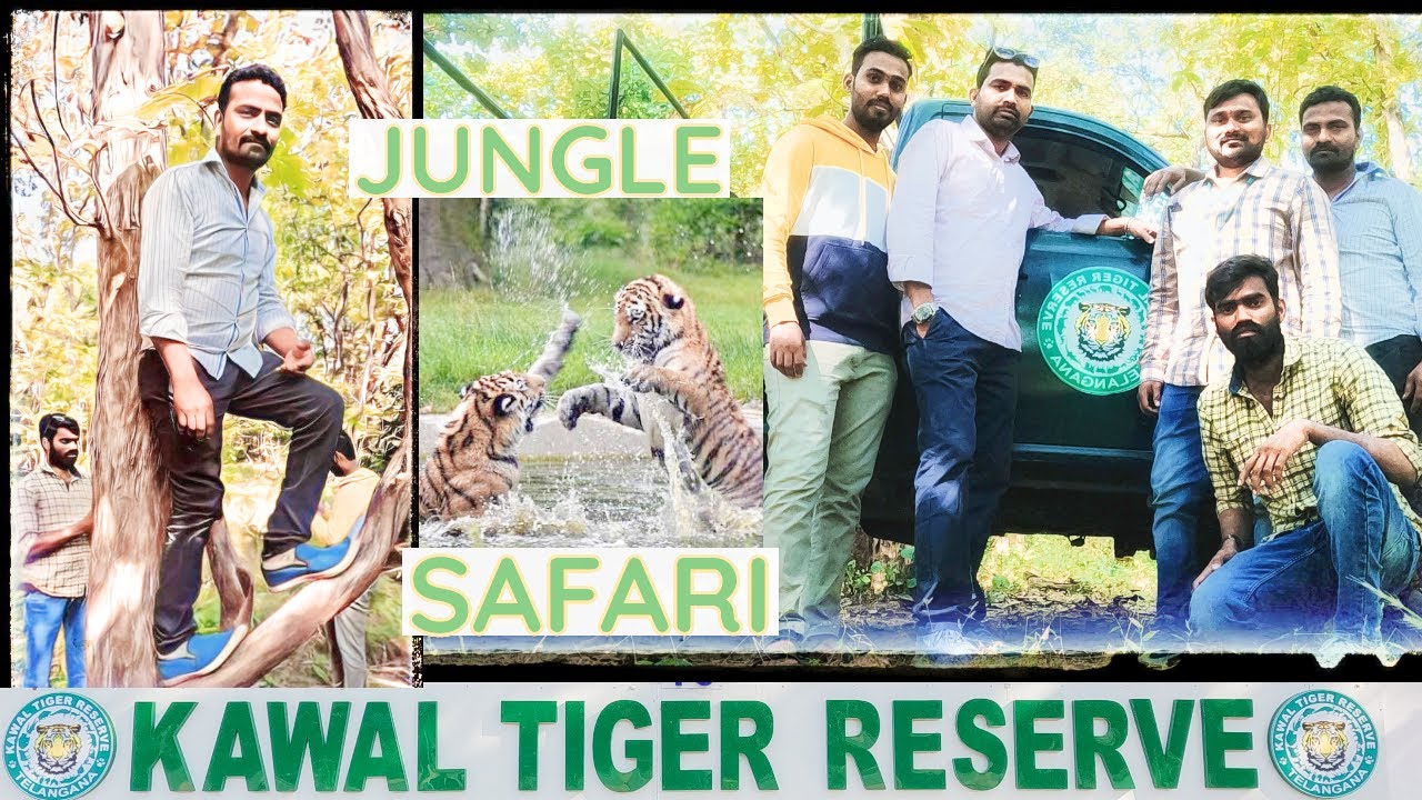 JUNGAL SAFARI || KAWAL TIGER RESERVE || HABIBI TOURS - YouTube