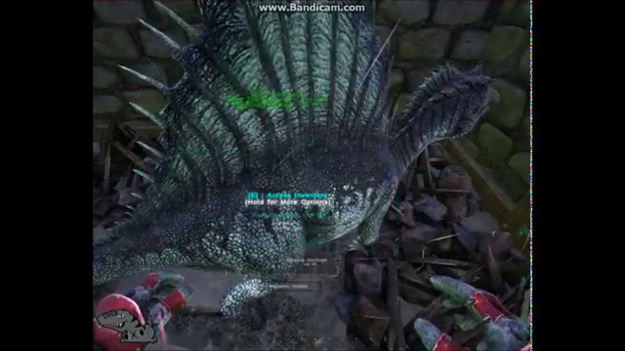 ARK Baby Spino Ep1 By DHX - YouTube