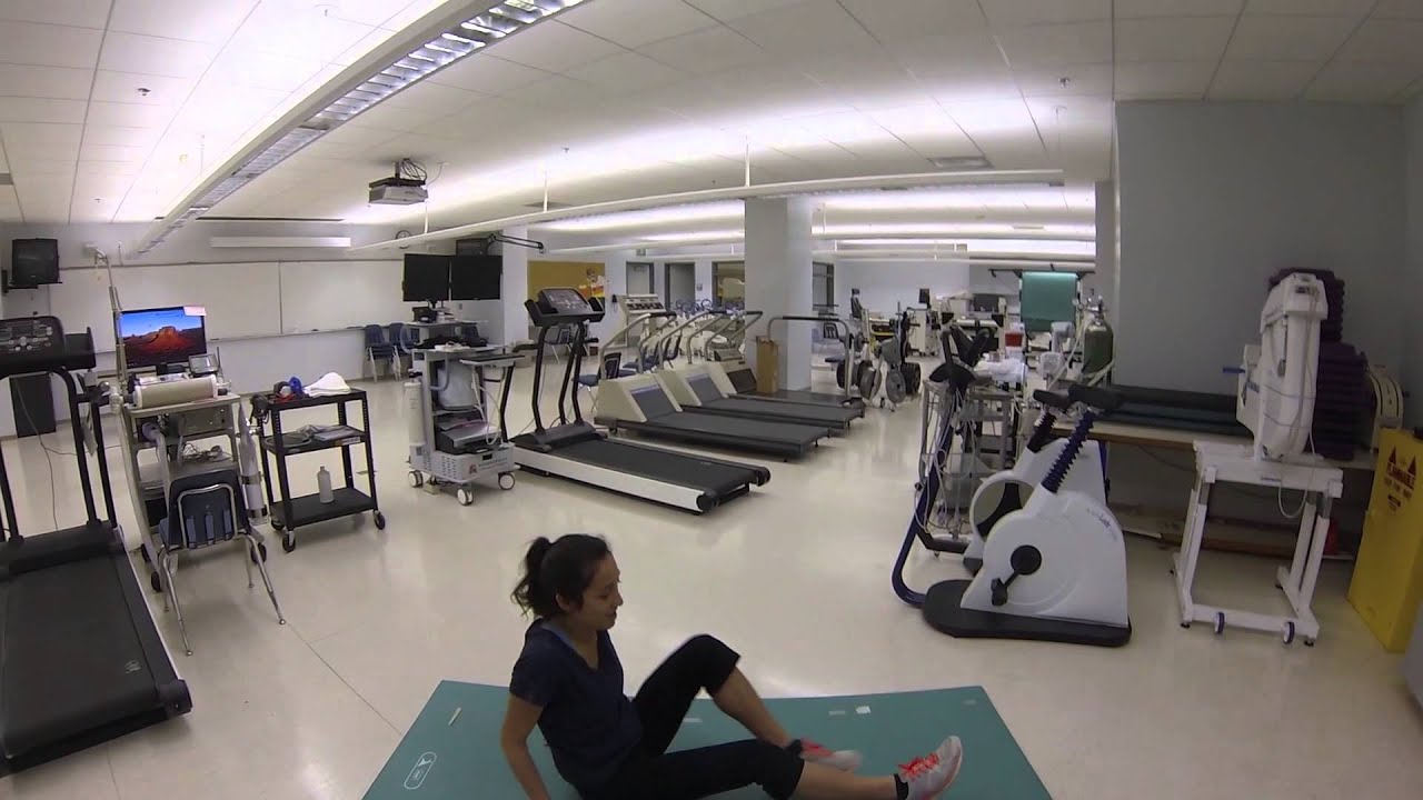 sit and reach hamstring stretch - YouTube