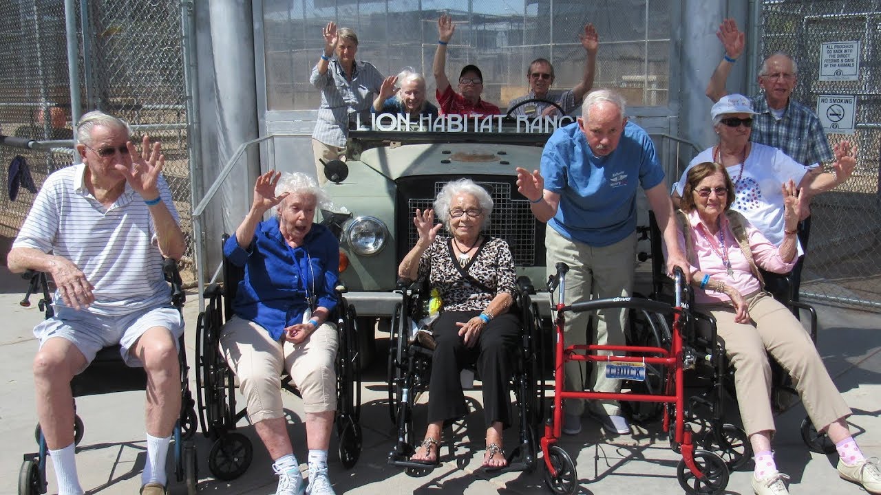 The Importance of Outings in Assisted Living | Spring Hills Senior ...