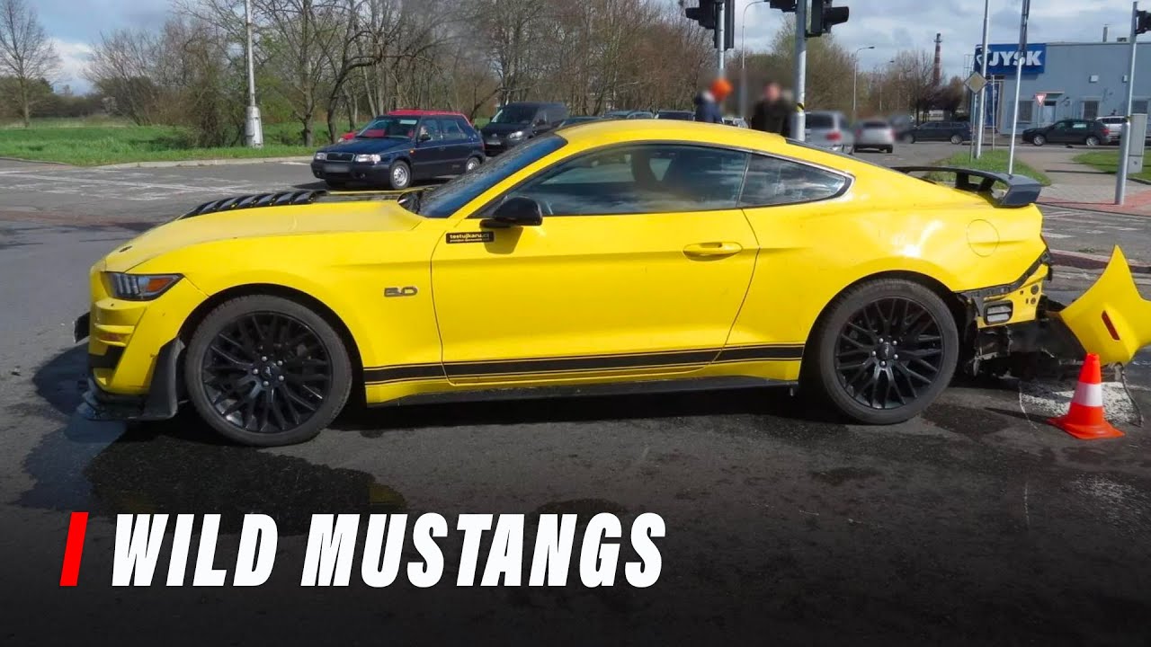 Unlicensed Ford Mustang Driver Does Mustang Things - YouTube