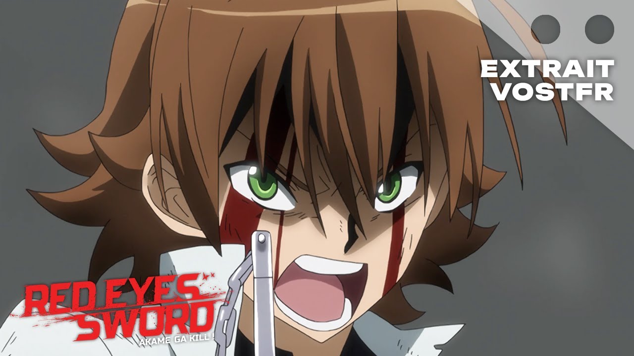 Activation de l'incursio, armure évolutive ! | Akame Ga Kill! (VOSTFR ...