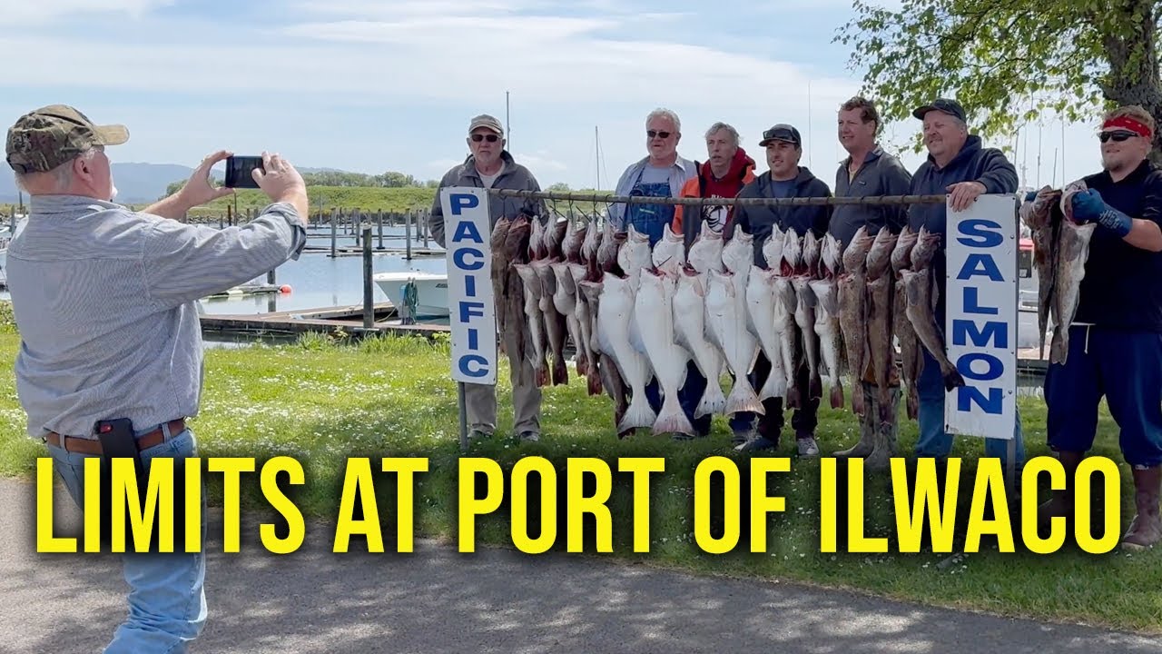 Halibut and Lingcod sportfishing in Ilwaco Washington - YouTube