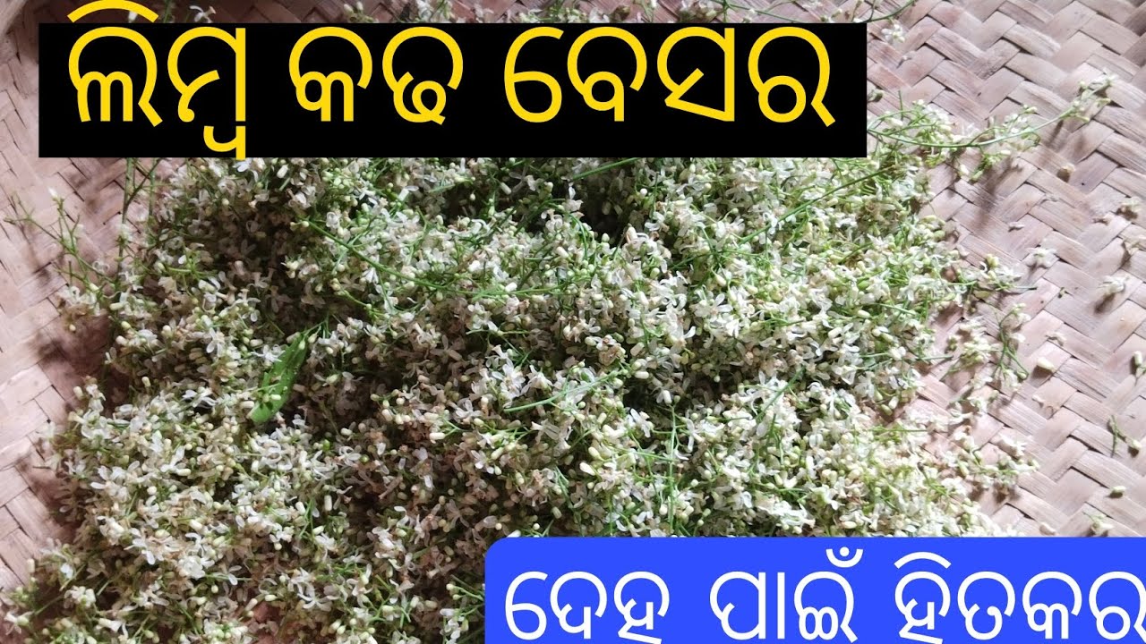 ଲିମ୍ବ କଢ଼ ବେସର | ପାଟି କୁ ପିତା କିନ୍ତୁ ଦେହ ପାଇଁ ହିତ କାରୀ | Limba kadha ...