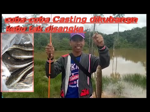Casting bekas kubangan tak di sangk gabusnya