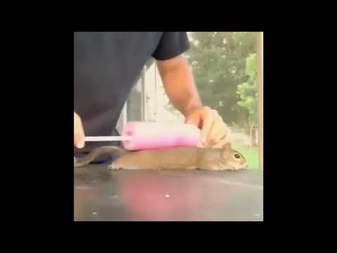 Gülme garanti 🤣 #komik #funny #viral #viralvideo
