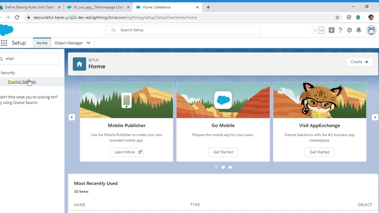 Security Specialist - Data Security : Sharing Rules Unit (Salesforce ...