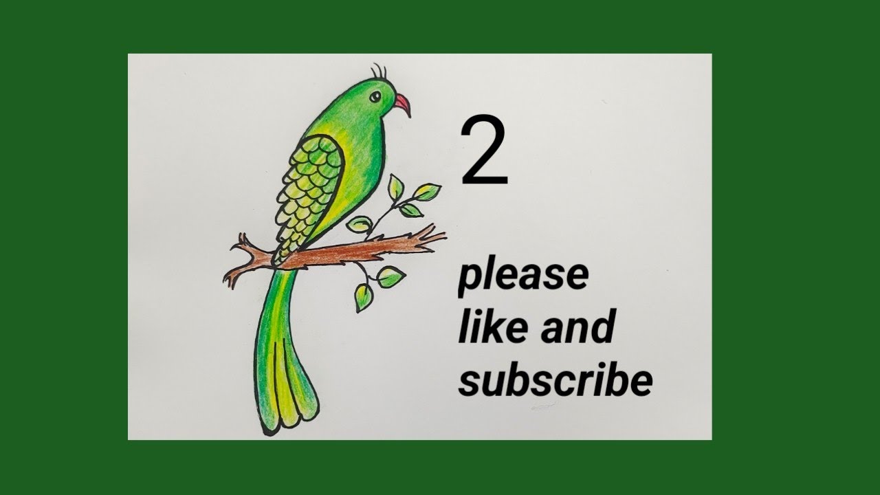 Simple Bird Art with 2/ Easy parrot 🦜 Drawing for kids/ simple Trick ...