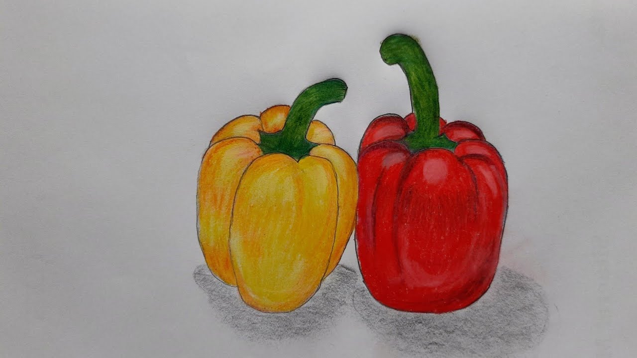 How to draw a red and yellow capsicum - YouTube