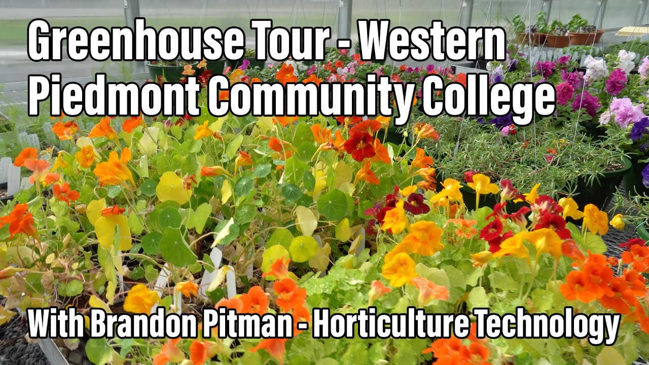 Greenhouse Tour - Western Piedmont Community College - With Brandon ...