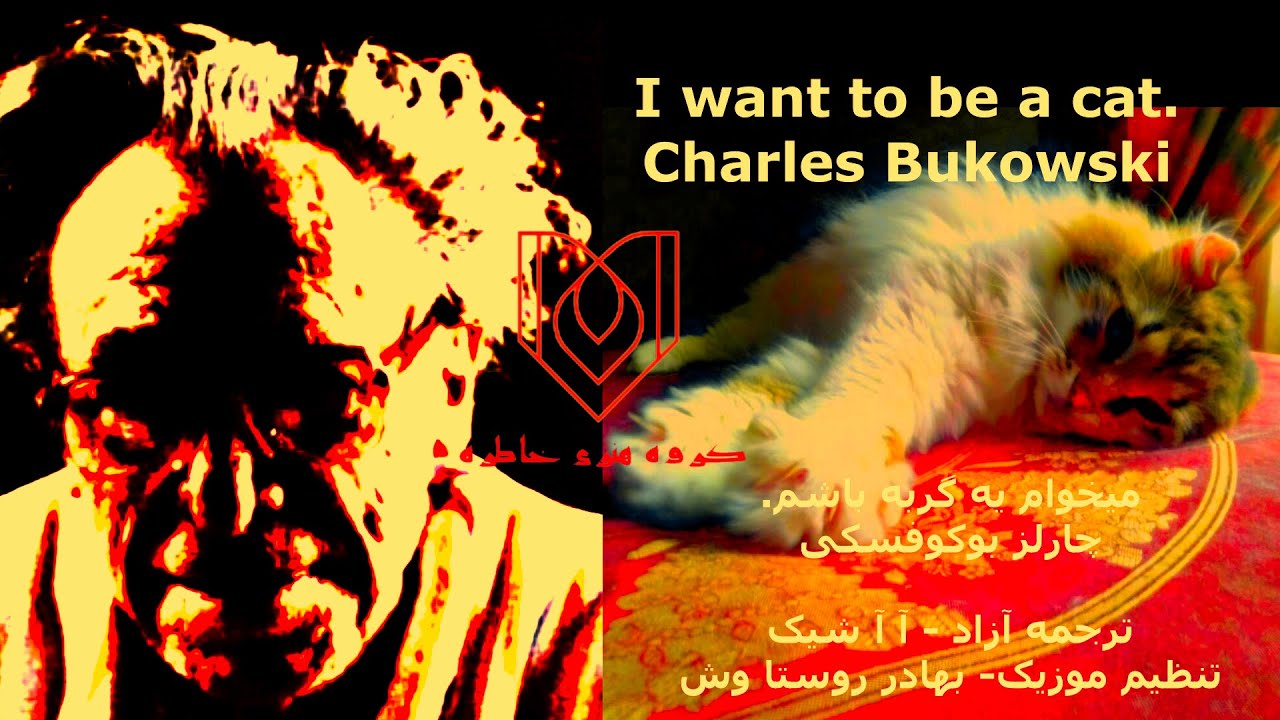 I want to be a cat. /Charles Bukowski - میخوام یه گربه باشم. چارلز ...
