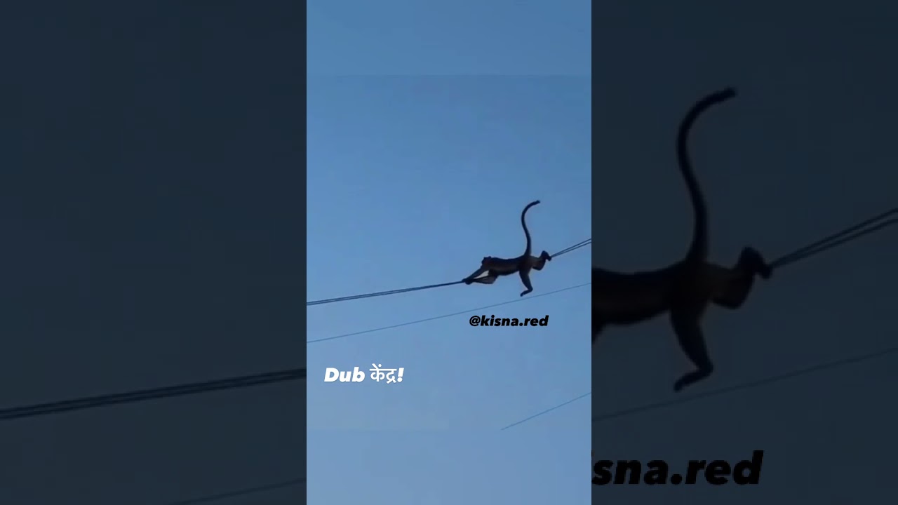 bing bing boo original video - YouTube