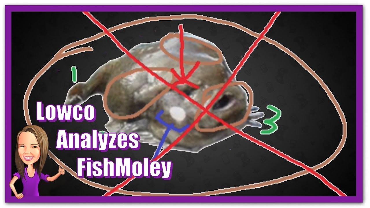 Lowco Analyzes FishMoley - YouTube