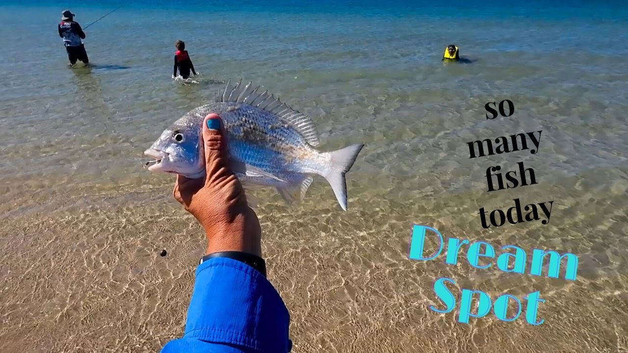 Good Haul Of Fish Today - YouTube