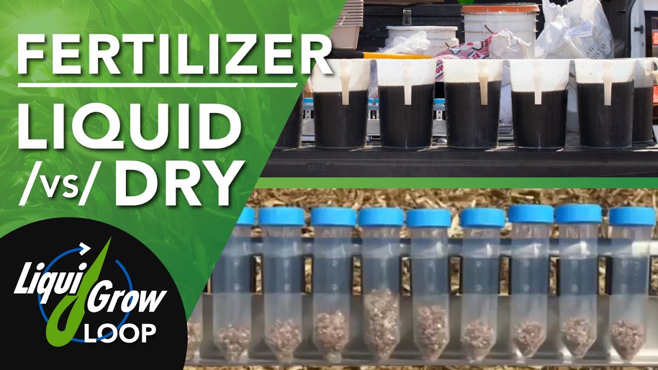 Liquid Vs Dry Fertilizer: In Field Comparison - YouTube