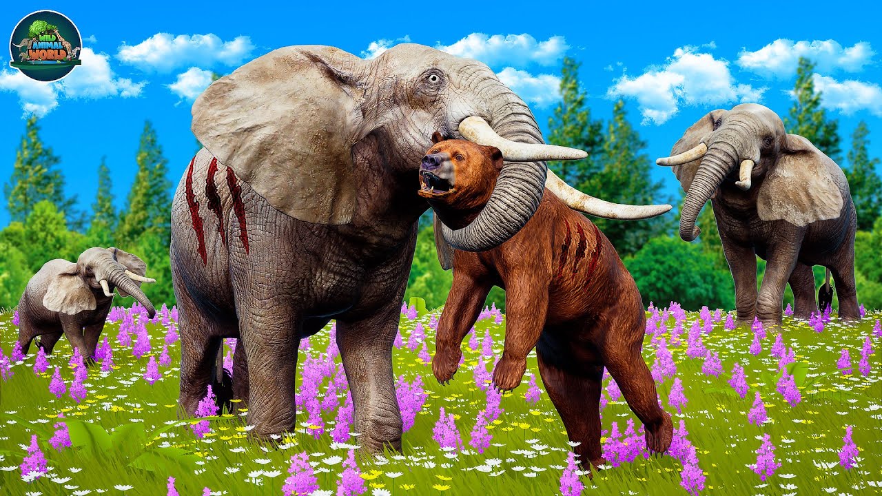 Wild Animals Fights - Elephants vs Big Brown Bear | Baby Elephant ...