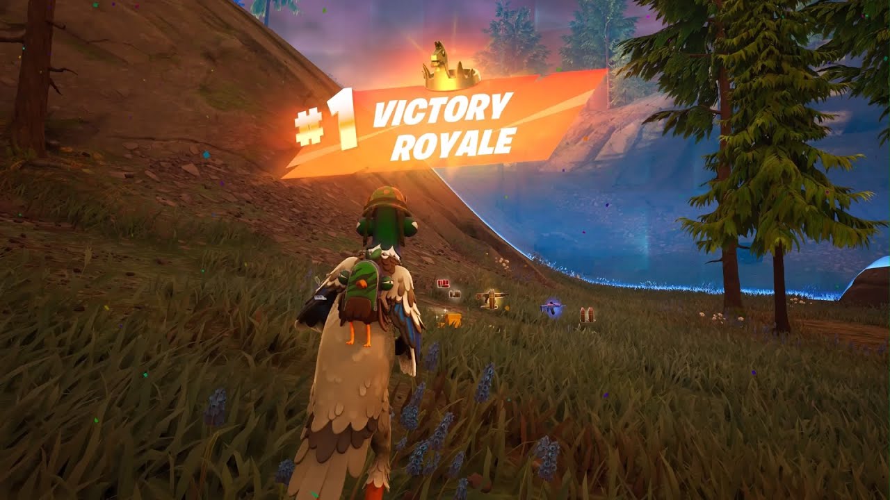 Sgt Drake Birds Of A Feather Bundle Skin Star Wand Pickaxe Solo Gameplay In Fortnite Youtube