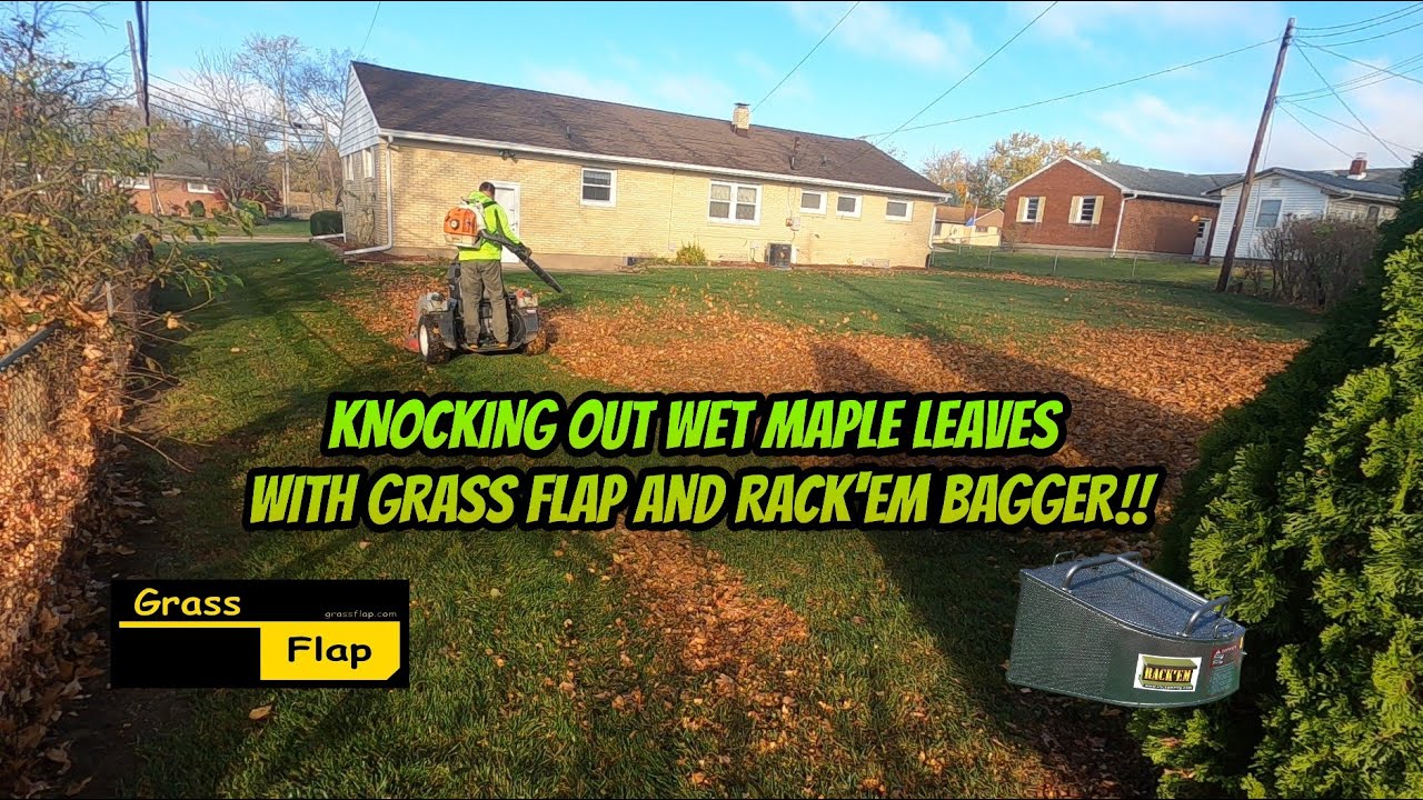 KNOCKING OUT WET MAPLE LEAVES WITH GRASS FLAP AND RACK'EM BAGGER FOR ...