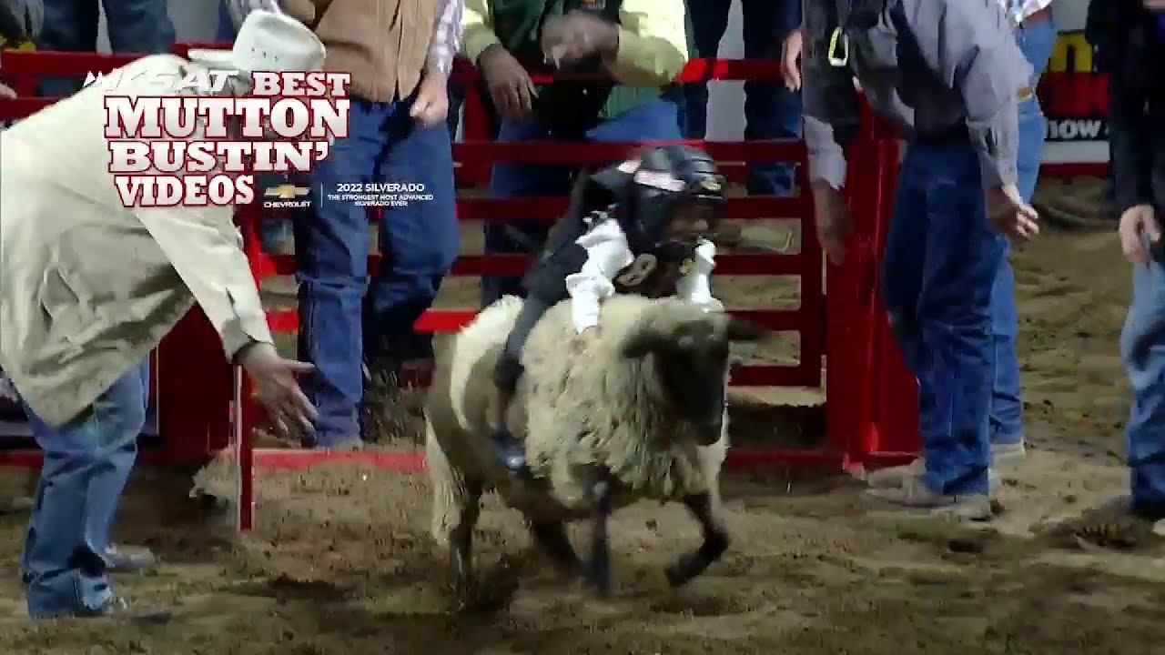 3 seconds is an eternity for young rider during Mutton Bustin’ at Stock ...