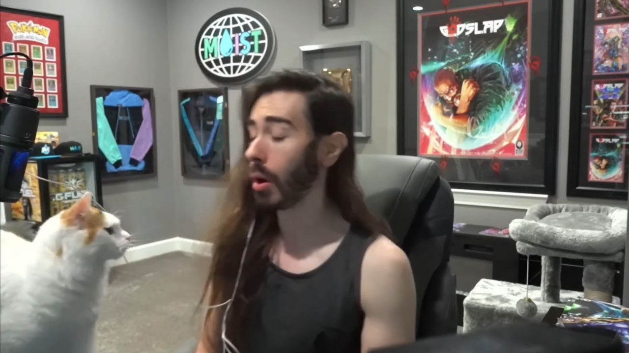 MoistCr1tikal gets JumpScared by his cat | Penguinz0 - YouTube