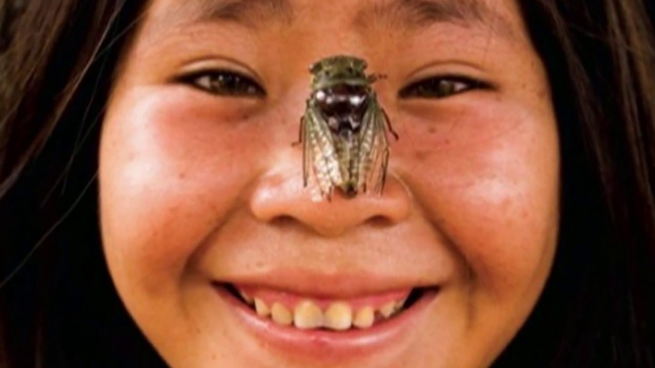 ACHE - PUEBLO ORIGINARIO DE PARAGUAY - ALABANZAS Y ADORACIONES A DIOS ...