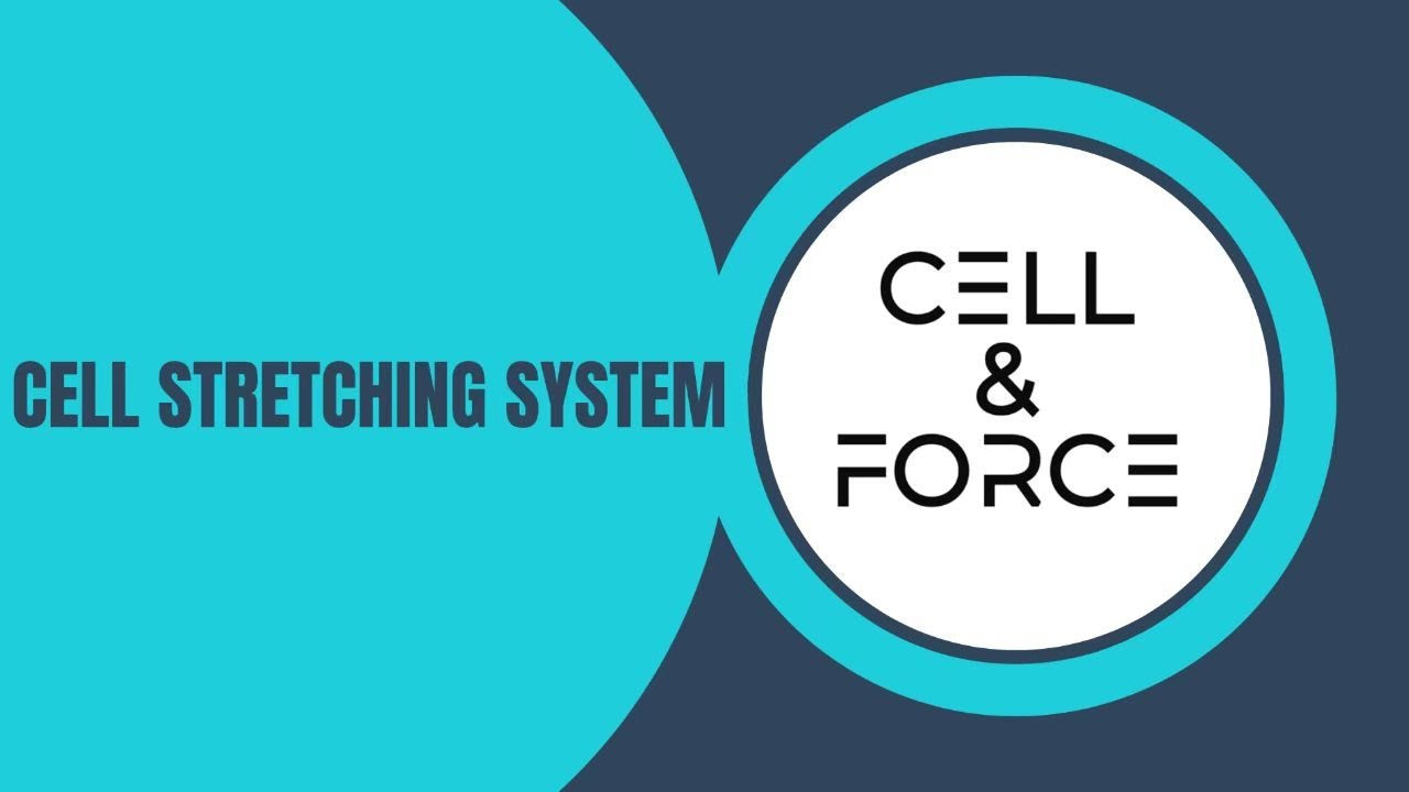 CELL&FORCE Cell Stretching devices #cellstretchingdevice # ...