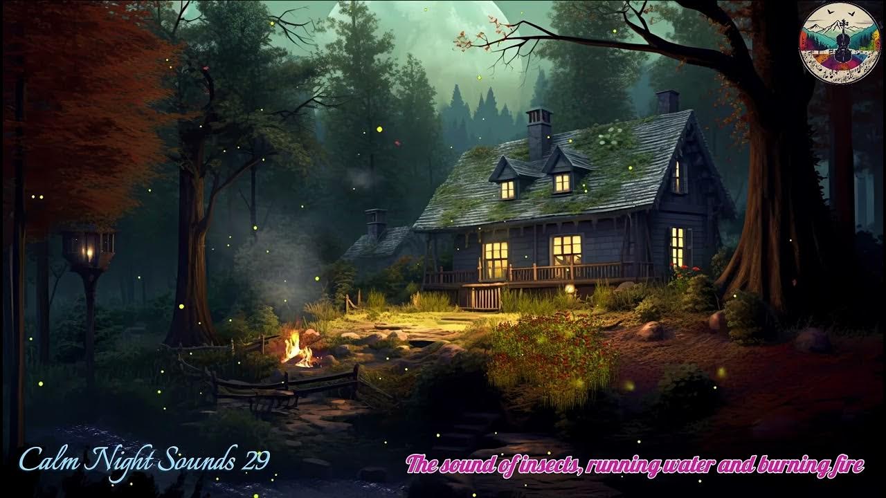 Calm Night Sounds 29 | The sound of insects, running water and burning ...